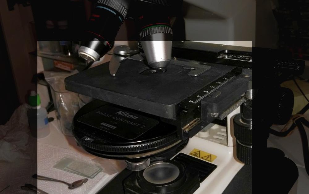 Espinyagui: Nikon Alphaphot-2 YS2, con contraste de fases.