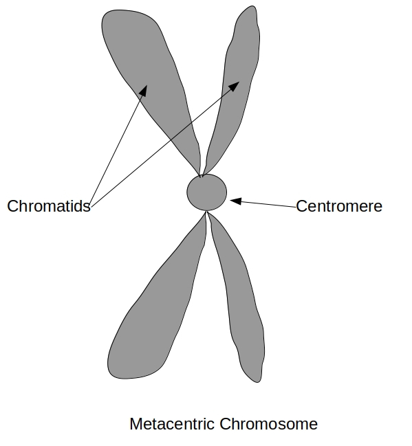 SEE Science Solution 2074 Set: AC Course: New