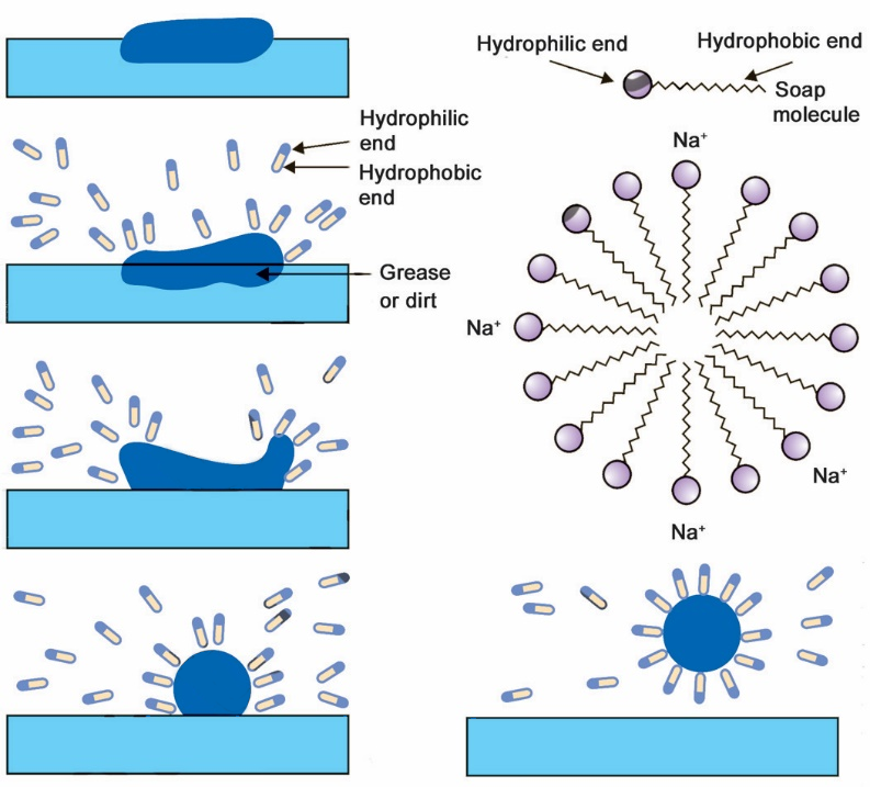 Chapter 4: Carbon and its Compounds | CBSE Class 10 | NCERT Notes ...