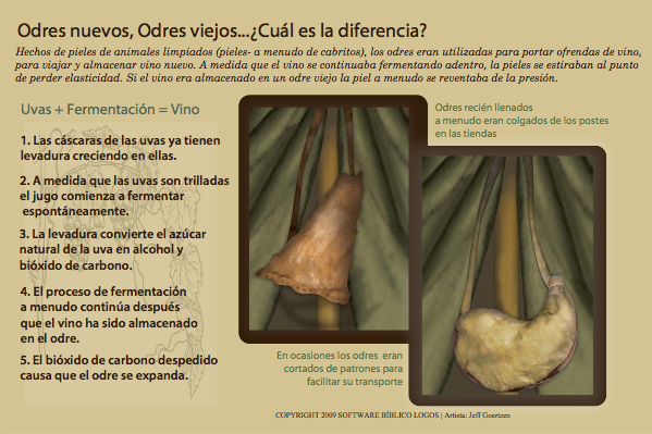 rosemeire: ¿Qué es un Odre?