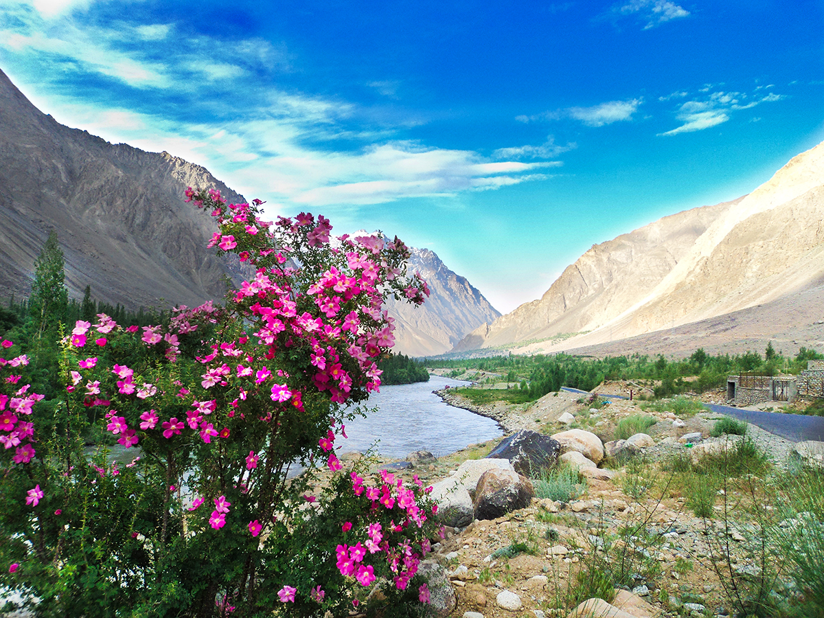 5 Reasons To Visit Ladakh