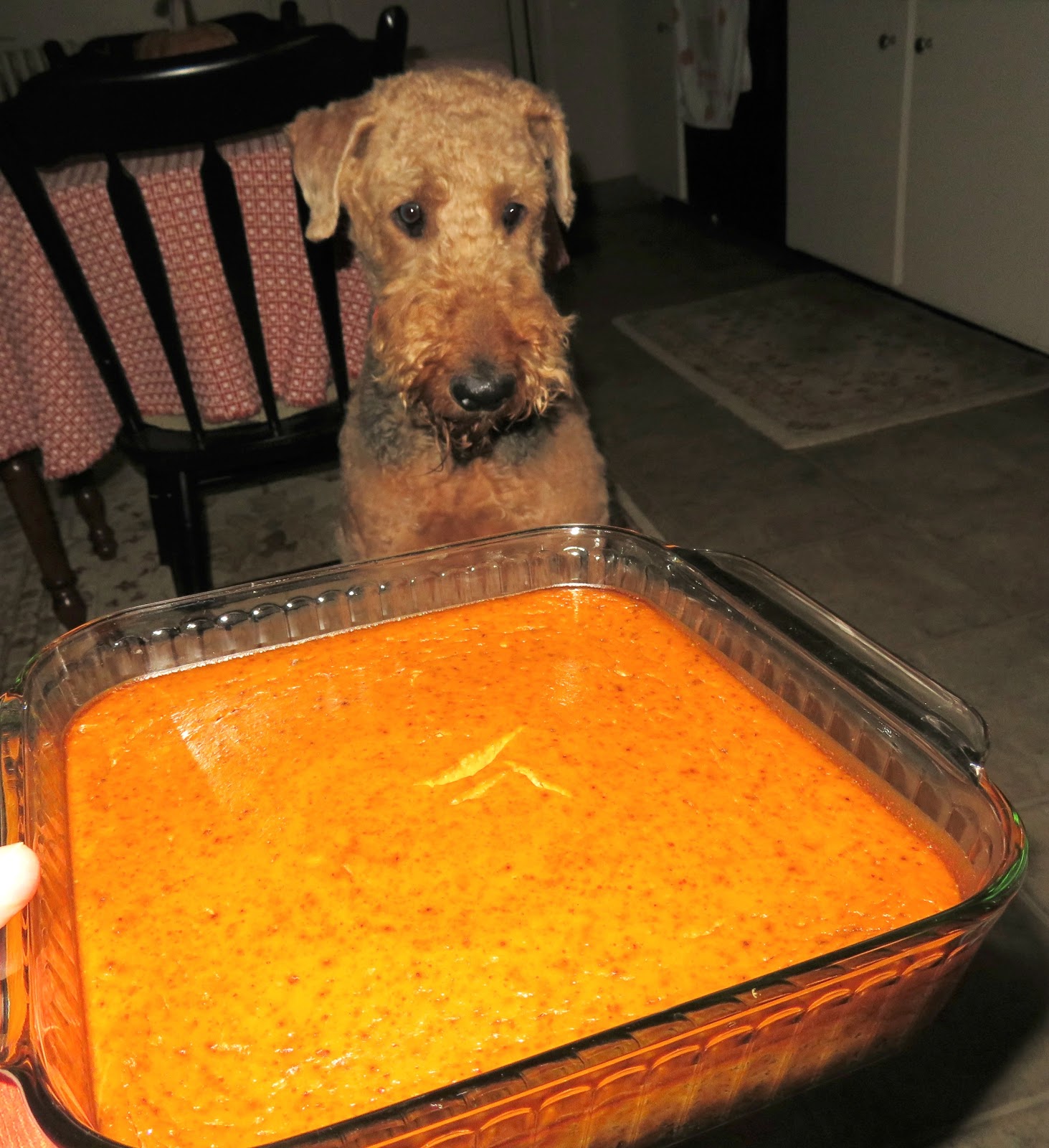 Dandy Duke: We're Thanksgiving Cookering