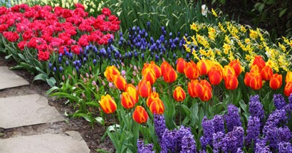 Ana Mardoll's Ramblings: Open Thread: Gardens