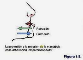MORFOFISIOLOGIA: INTRODUCCIÓN A LA ANATOMÍA