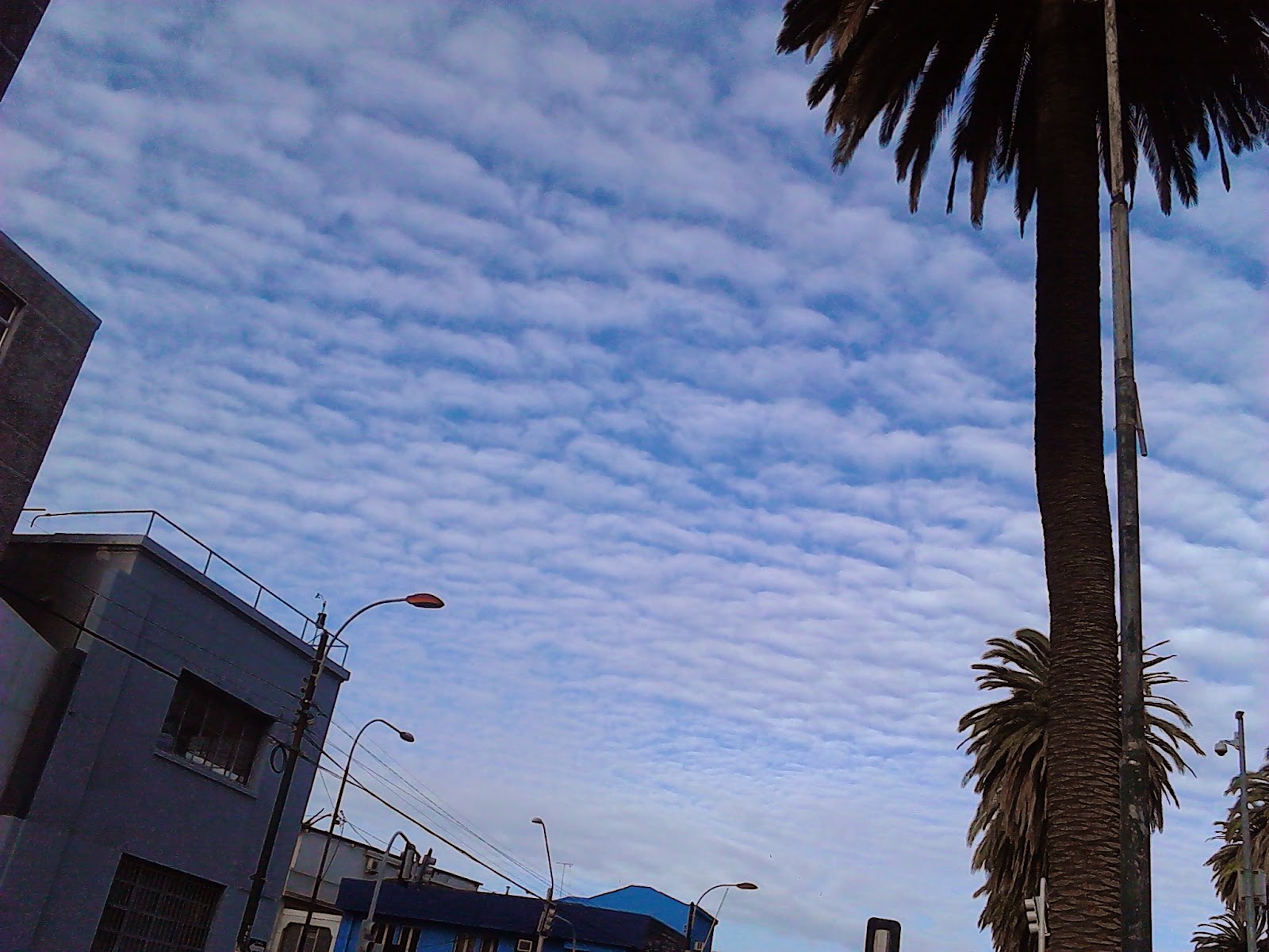 Atlas de Nubes : Nubes Bajas