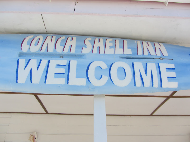 Hotels For Your Budget: San Pedro's Conch Shell Inn | San Pedro Scoop