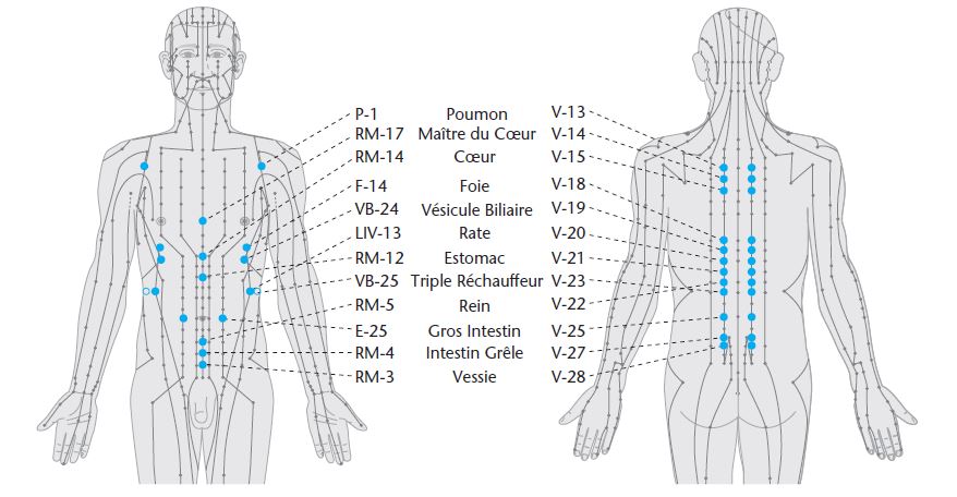 Blog Le Souffle du Menhir: Les 12 points Mu Xue / Mù Xué 募穴antérieurs ...