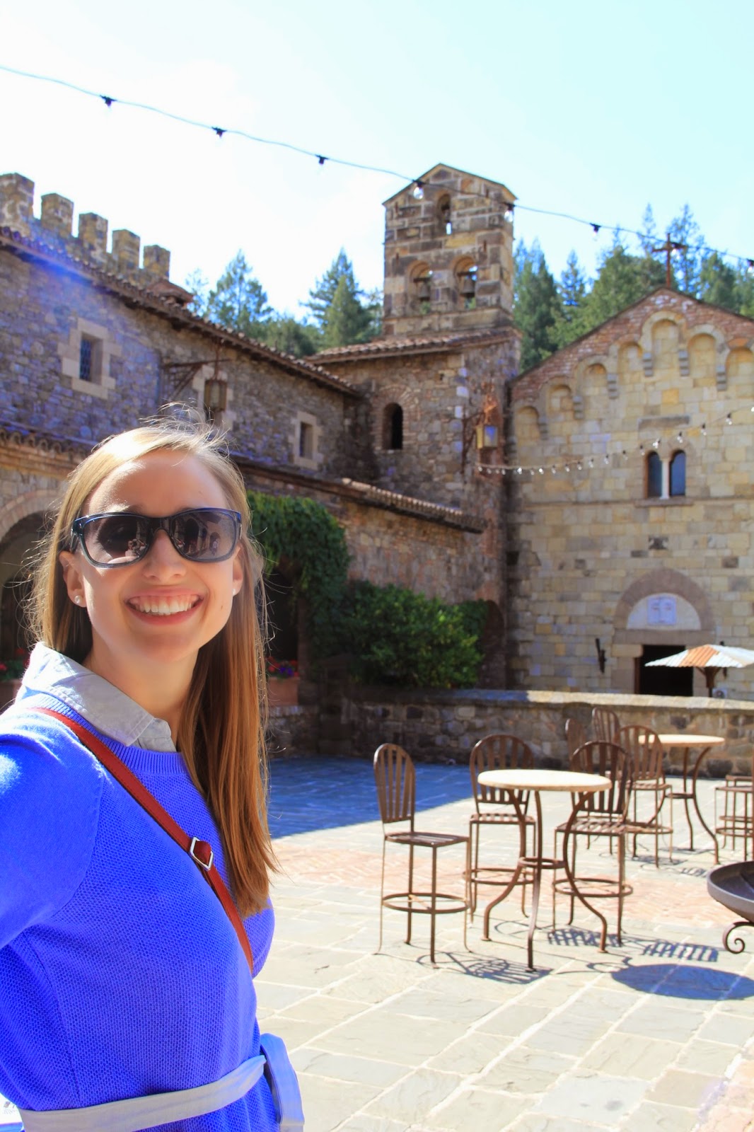 The Colorful Cardinal : A Little Cheese With That Wine?