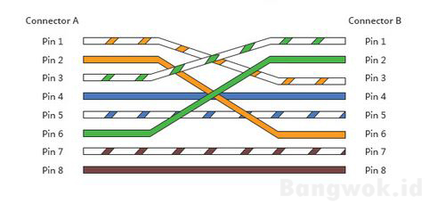 Susunan Warna Kabel Straight dan Crossover Pada UTP - Bangwok.id
