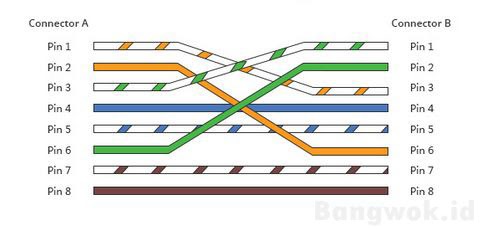 Susunan Warna Kabel Straight dan Crossover Pada UTP - Bangwok.id