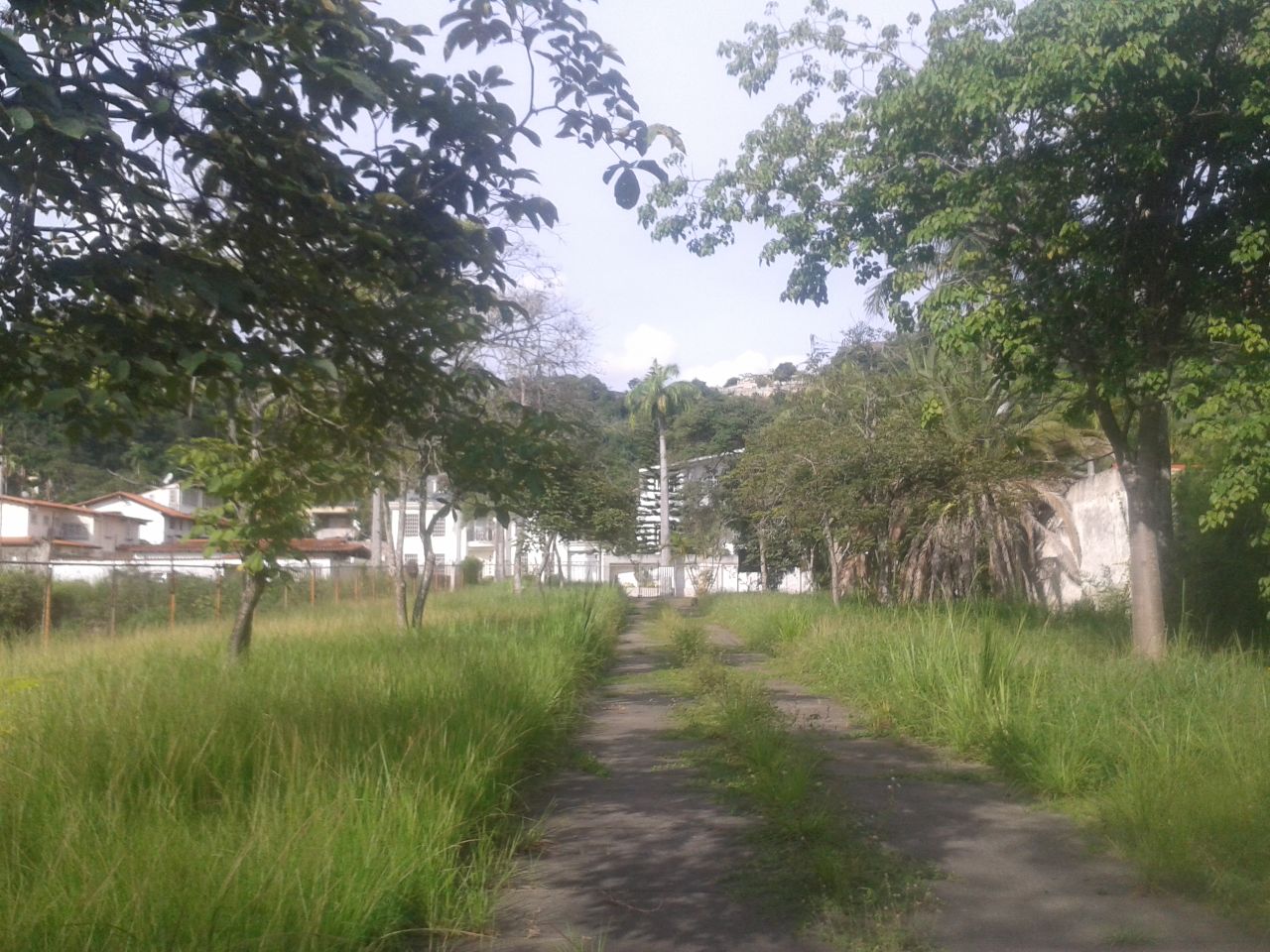 Parque Bosque Macaracuay