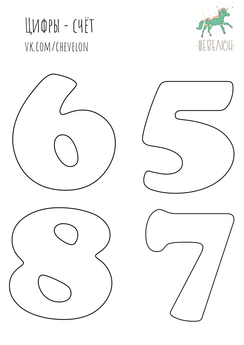 Baixar molde Gratuito