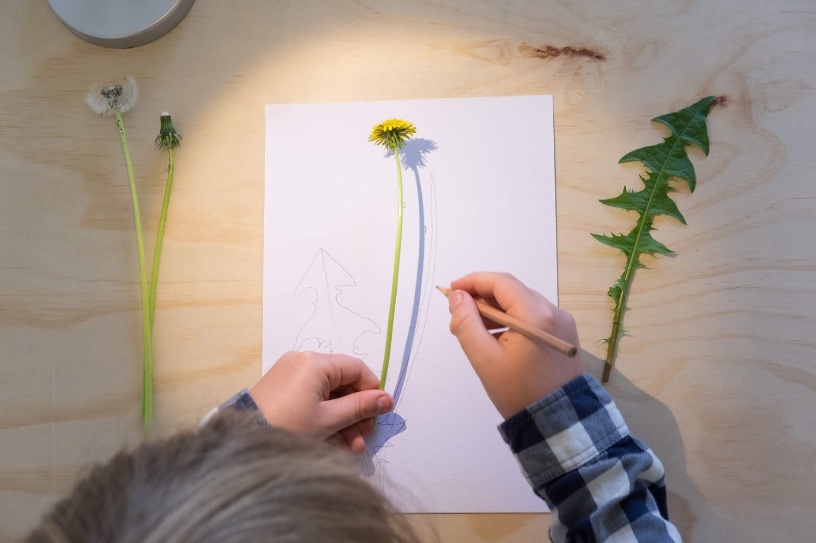 how to: shadow tracing