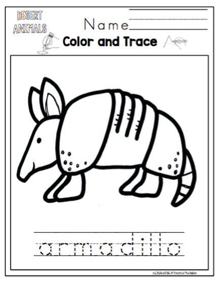 Animal Bundle "No Prep" (Rainforest/Mountain/Desert/Arctic/antarctic ...