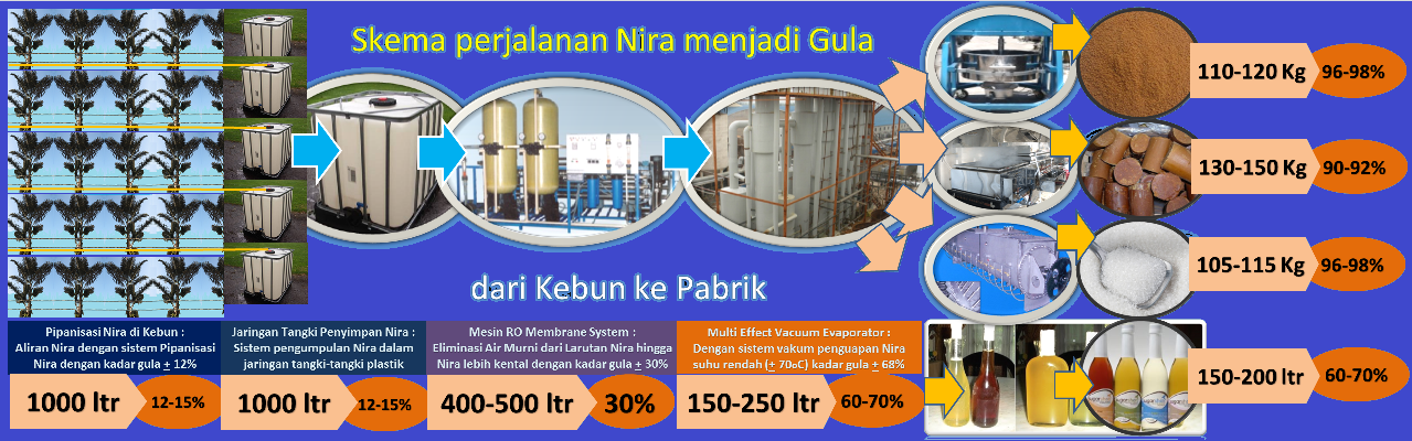 kebun aren: Skema Pengolahan Nira Aren di Pabrik Gula Aren Modern