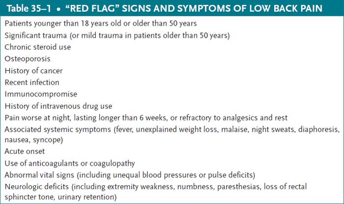Low Back Pain Case File