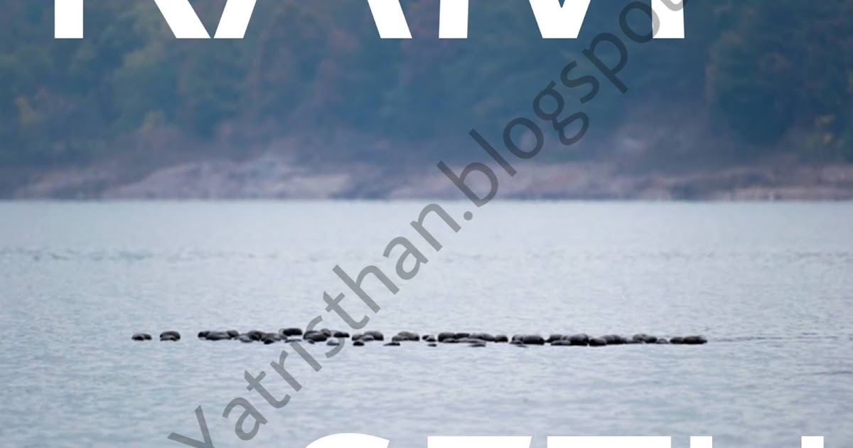 Reason Behind The Ram Setu Floating Stone - Facts, Truth and Real Image