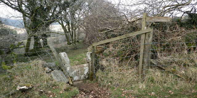 My Dartmoor Walks: Sunday 24th February The Walkhampton Plaques