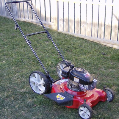 Grasmaaiers: Kies het ideale type grasmachine voor uw gazon | Grasmat Blog