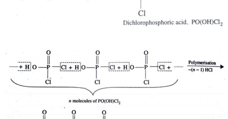 Classification of Inorganic Polymers