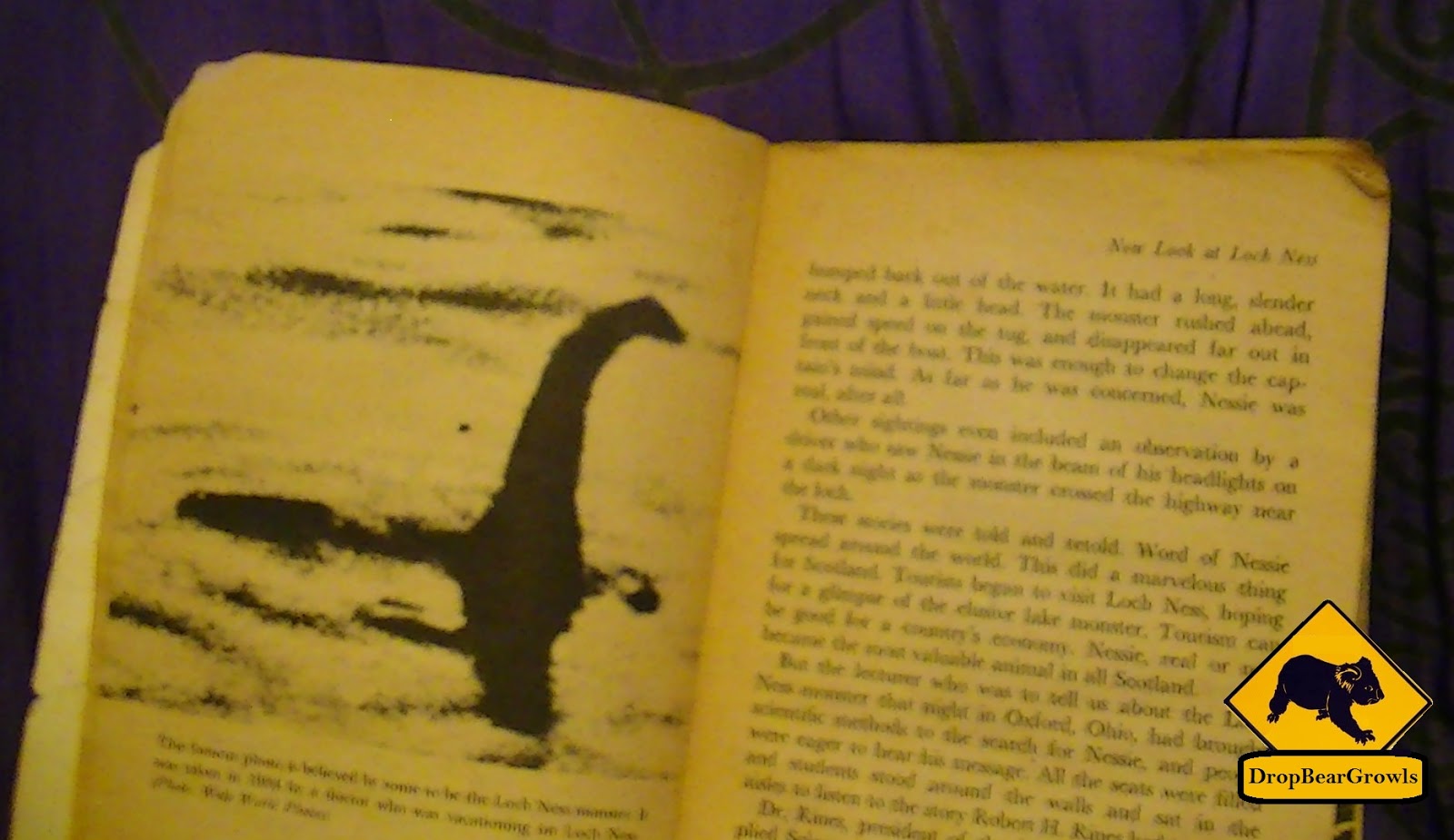 Drop Bear Growls: Book Review: MYSTERIES, MONSTERS and untold secrets ...