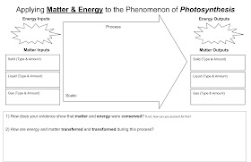 Photosynthesis Graphic Organizer
