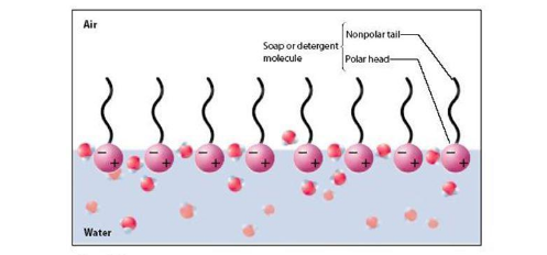 Soap, Detergent and cleaning Chemistry - INSIDE CHEMISTRY