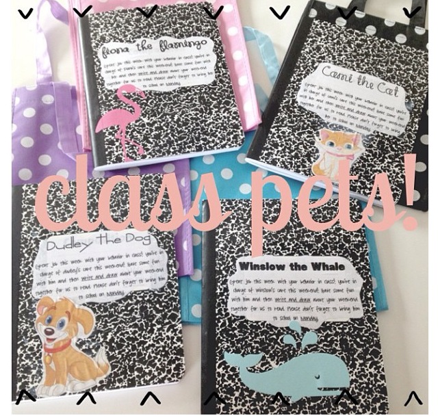 Mrs.Decatur's Little Gators: Class Pet Pack FREEBIE