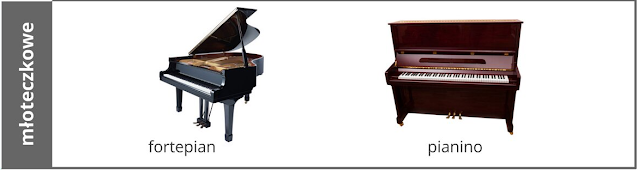 Nauka na odległość: Instrumenty strunowe młoteczkowe