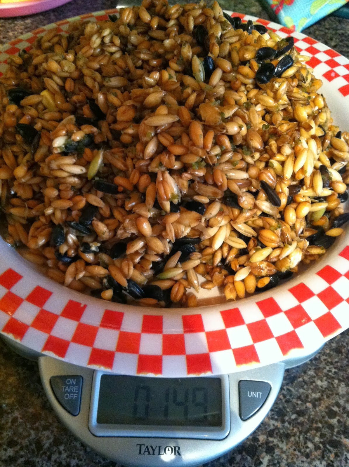 Homestead Catholic: DIY Fermented Chicken Feed