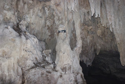 LOWO CAVE TRENGGALEK | My Trip My Adventure