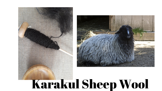 Karakul Sheep's Wool Now Available From The Studio