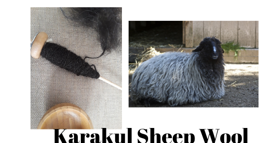Karakul Sheep's Wool Now Available From The Studio