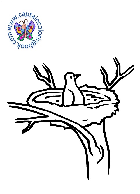 Coloring book pdf download