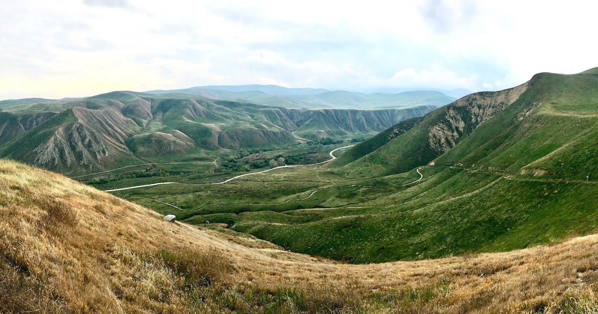 The View to There: Hike: Wind Wolves Preserve (Tule Elk Trail) / March 2020