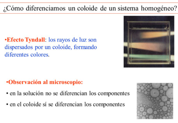 Física y Química de 3º ESO: Coloides: el cajón de las mezclas difíciles.