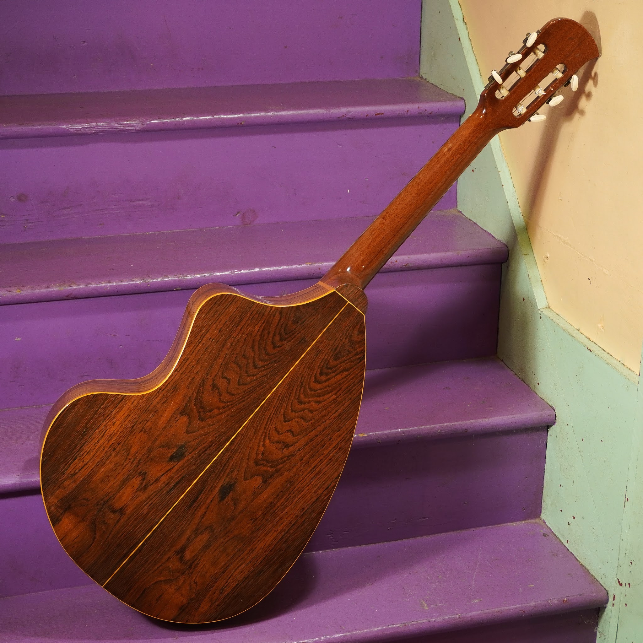 1970s Giannini Craviola Classical Guitar