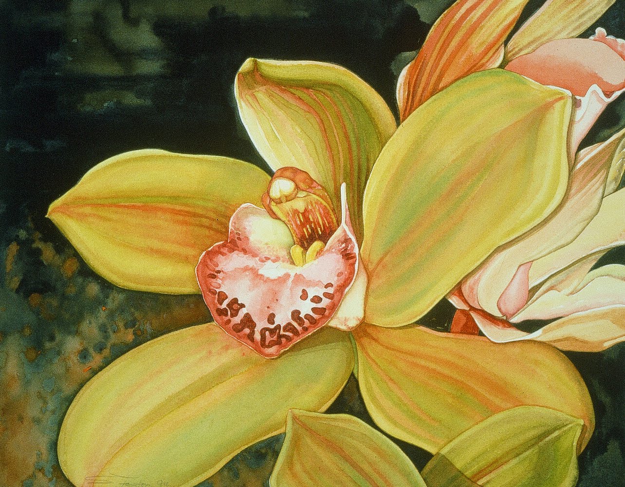 Sandra Fenton - Watercolor and Mixed Media paintings. Personal ...