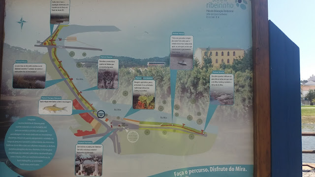 ZONA FLUVIAL E RIBEIRINHA DE ODEMIRA (CENTRO) | 2025 - AQUAPOLIS