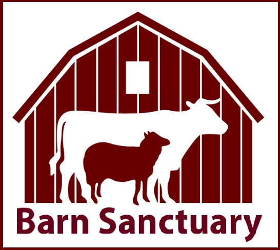 It's NOT about me: A trip to Barn Sanctuary