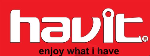 Logo Havit