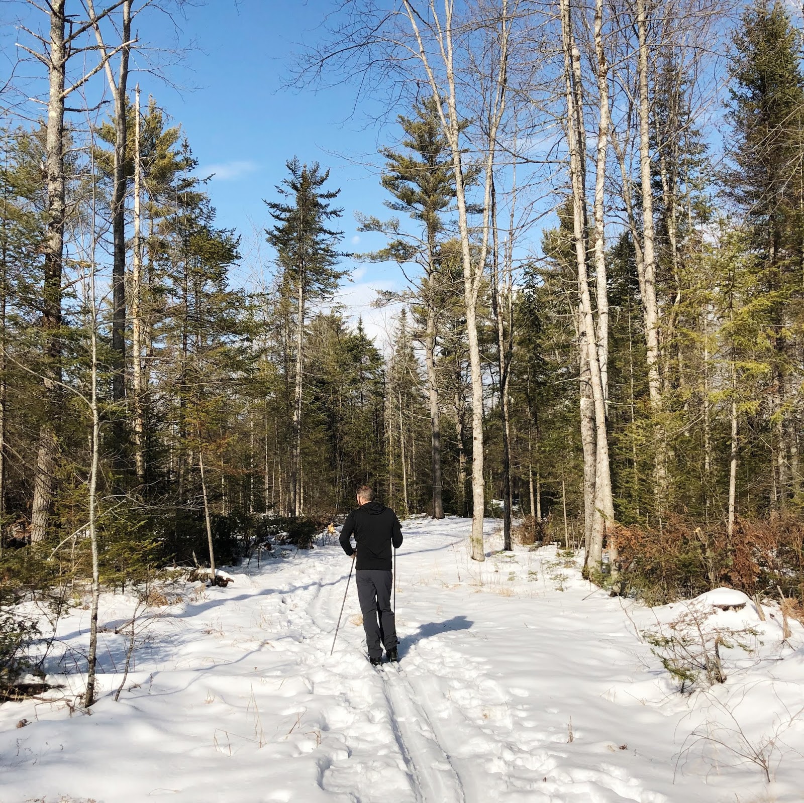 Oxbow Beer Garden in Oxford, Maine | The Blueberry Files