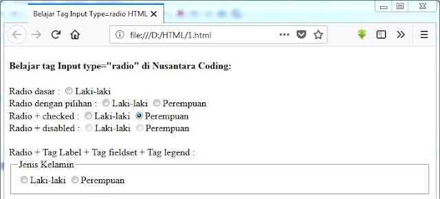 Tutorial Form HTML Part 6: Fungsi dan Cara Penggunaan tag input type ...