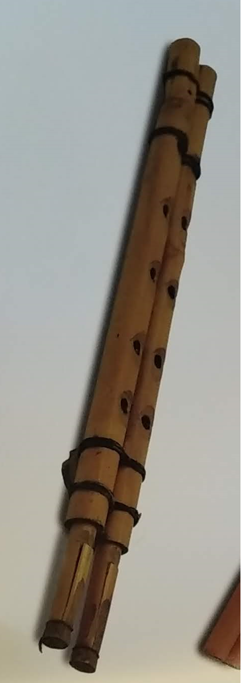 PROJECTE ELS PELACANYES: XEREMIA DE PASTOR