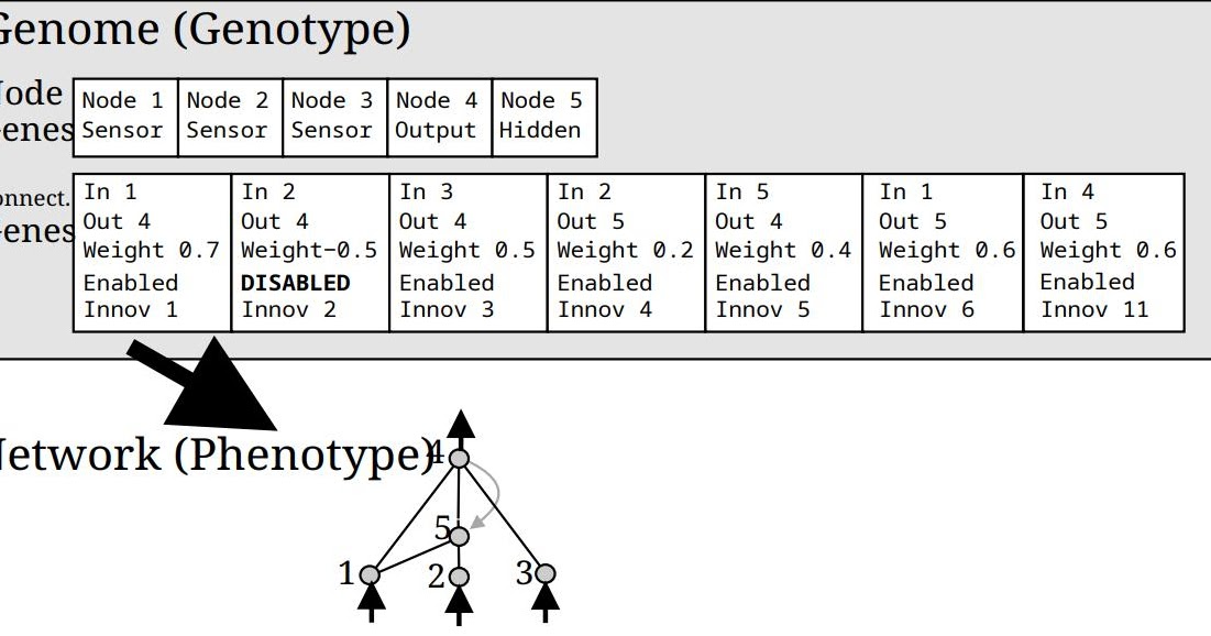 Neuroevolution of augmented topology