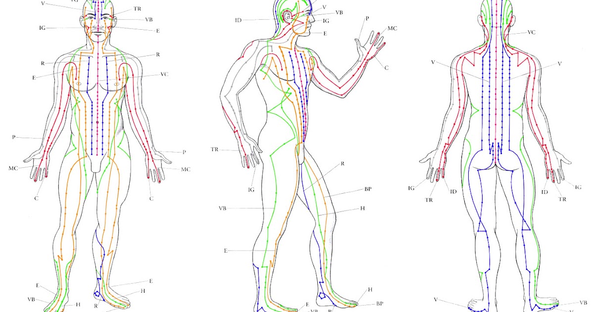 Terapias Integrativas e Medicina Chinesa Aline Coelho: Meridianos
