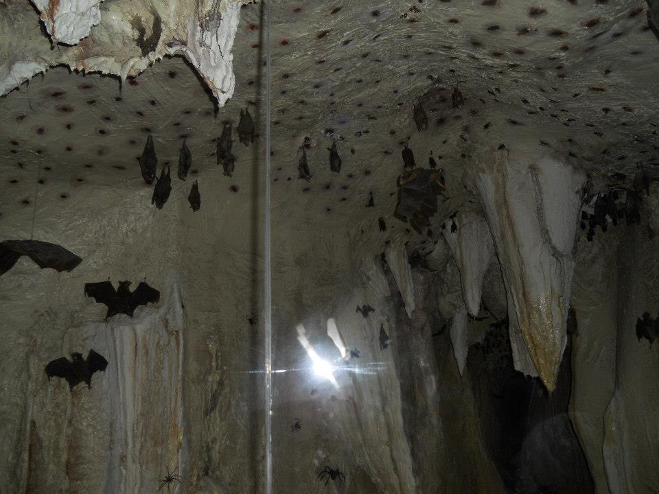 Travel Blog: Mt. Maria Makiling