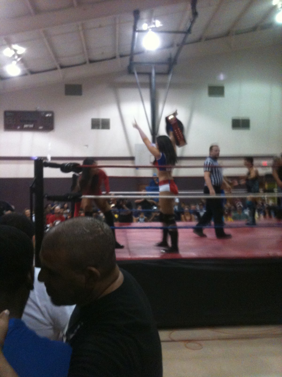 ZombieBloodFights.com Blog: FIGHTS: A changed competitive landscape at ...