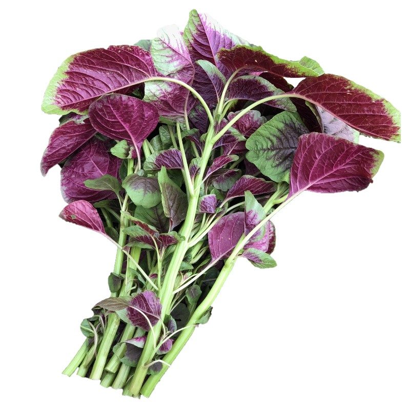 Berkongsi Dengan Menaip