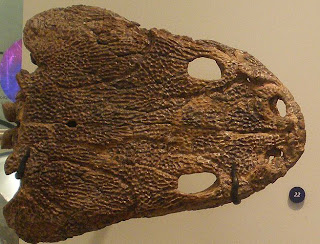 Tamsitt-Powell_Kavanaugh Families in Howard County